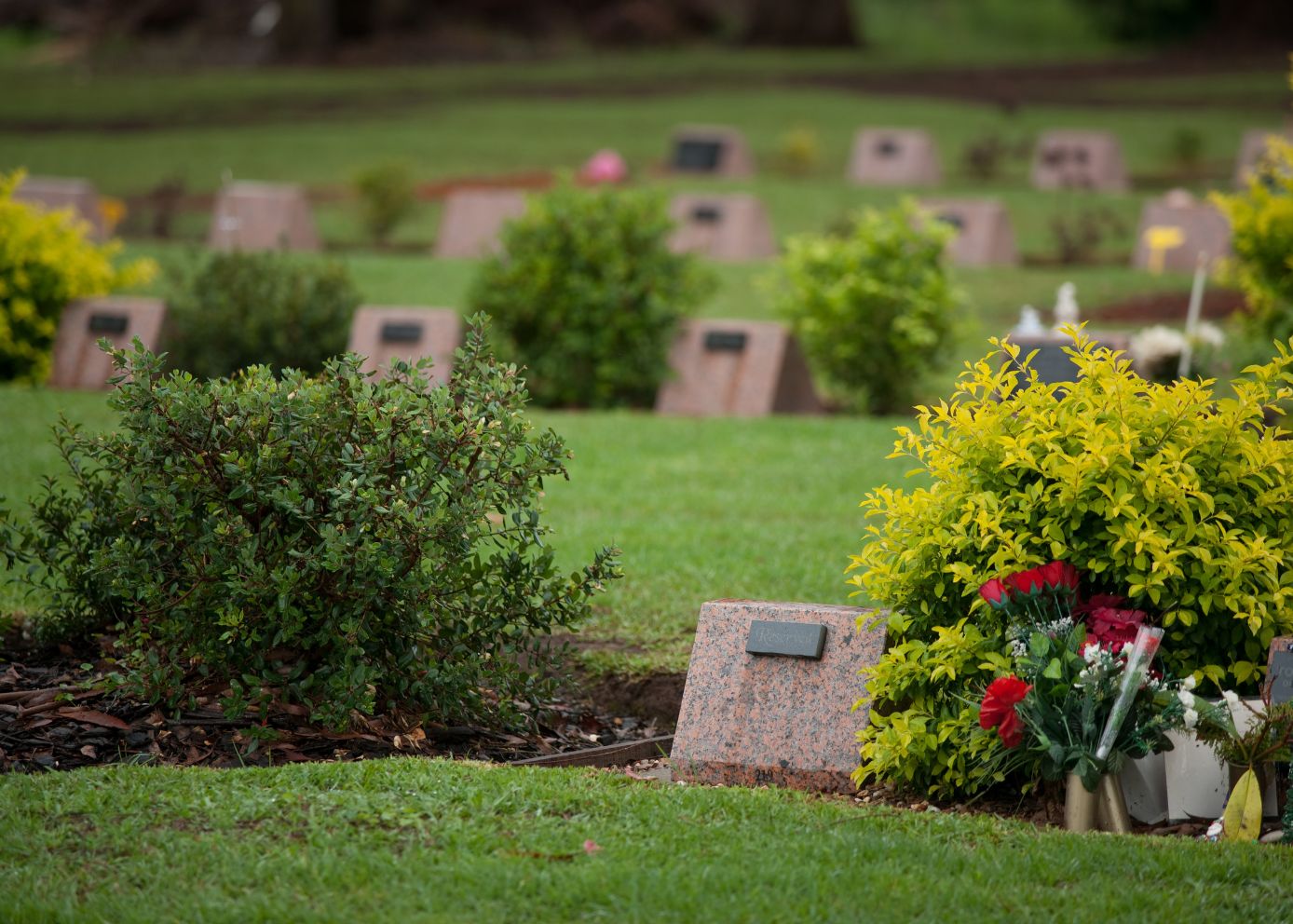 Lawn Cemetery - Manning Great Lakes Memorial Gardens